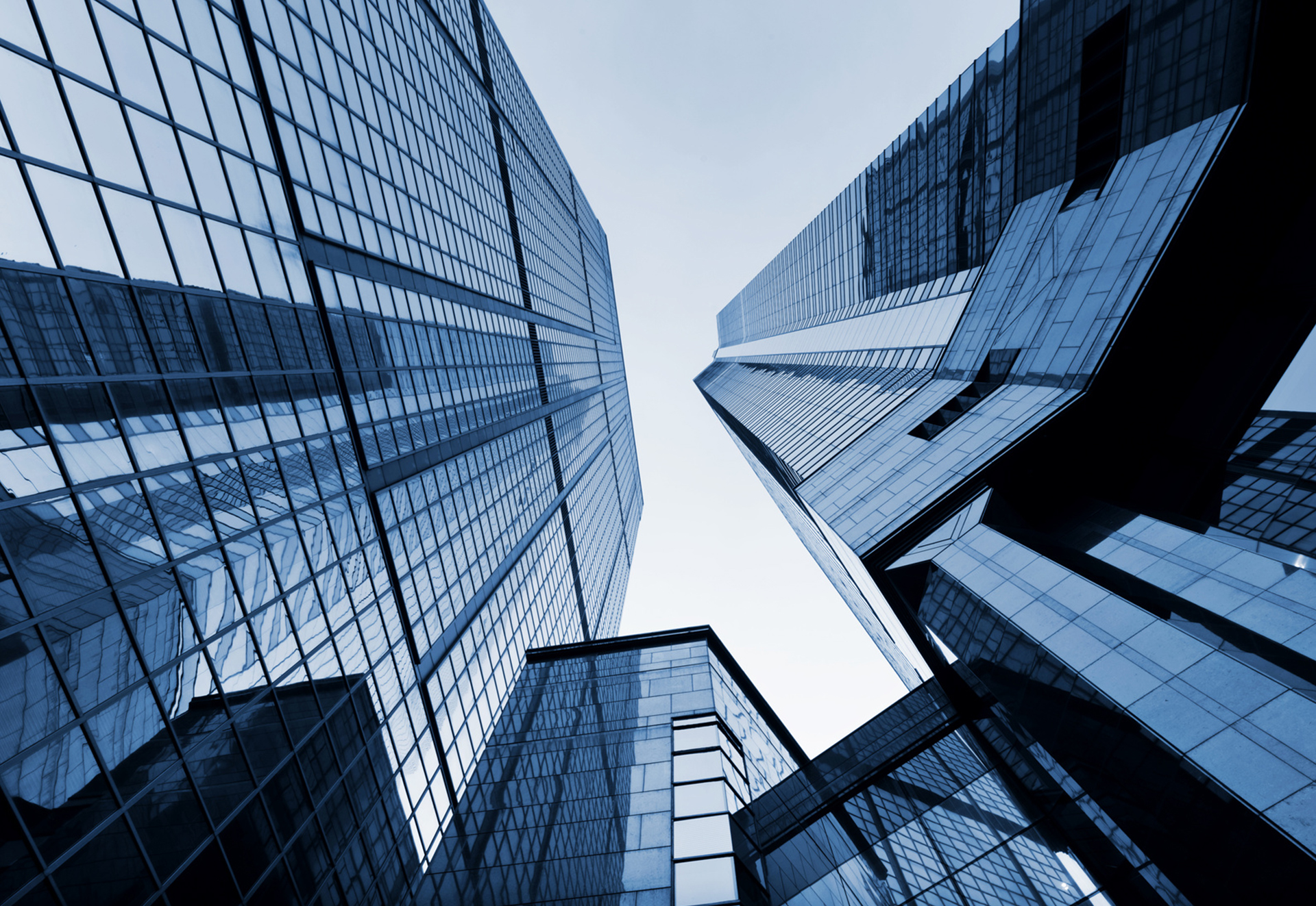 About Purple Rock, Dubai's Trusted IT Infrastructure and Security ...